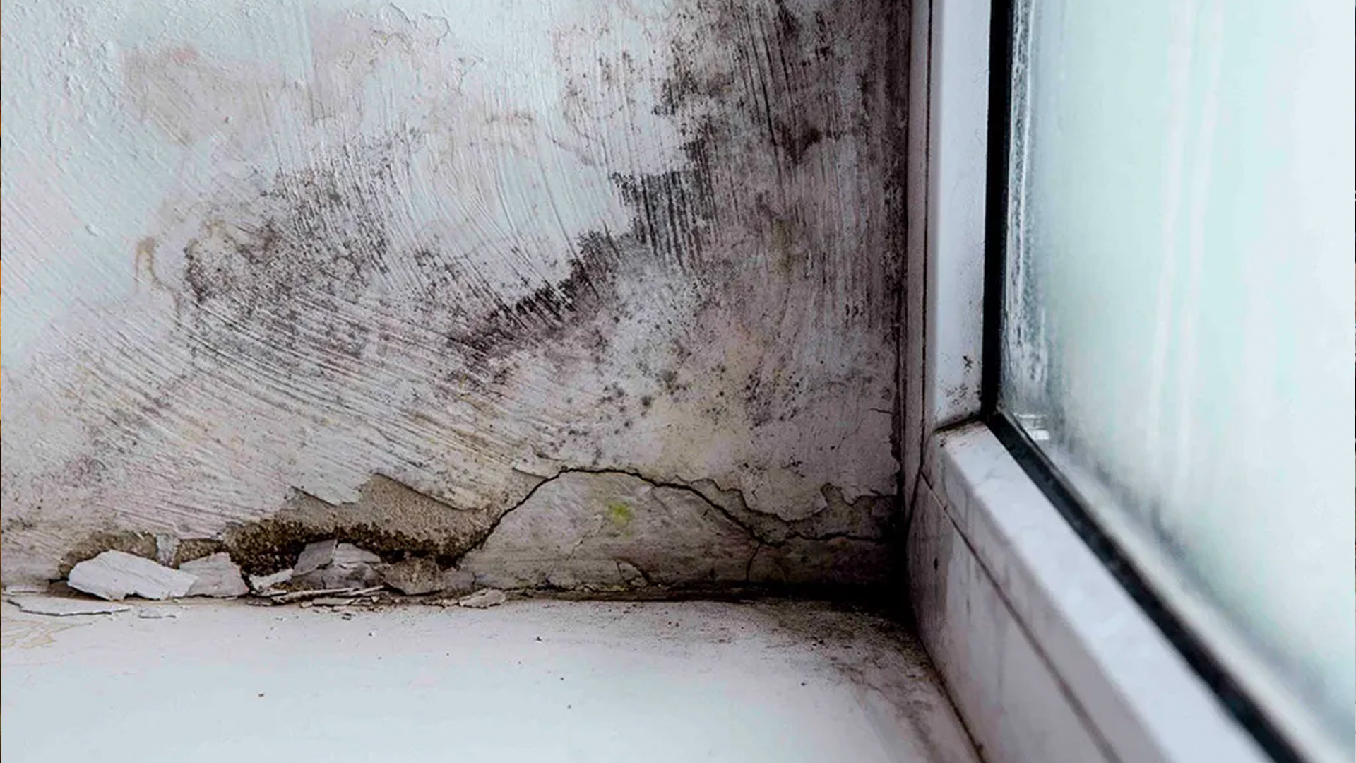 Barrier Property Care – Barrier Property Care cover the whole of ...